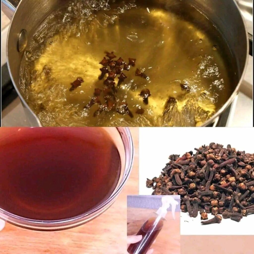 Les Bienfaits de l’Eau de Clou de Girofle la Nuit : Un Moyen Simple d ...